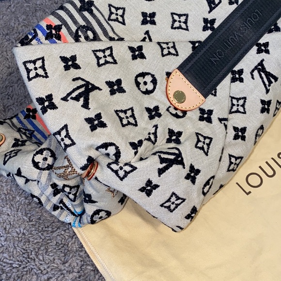 Plaid Louis Vuitton Bag | semashow.com